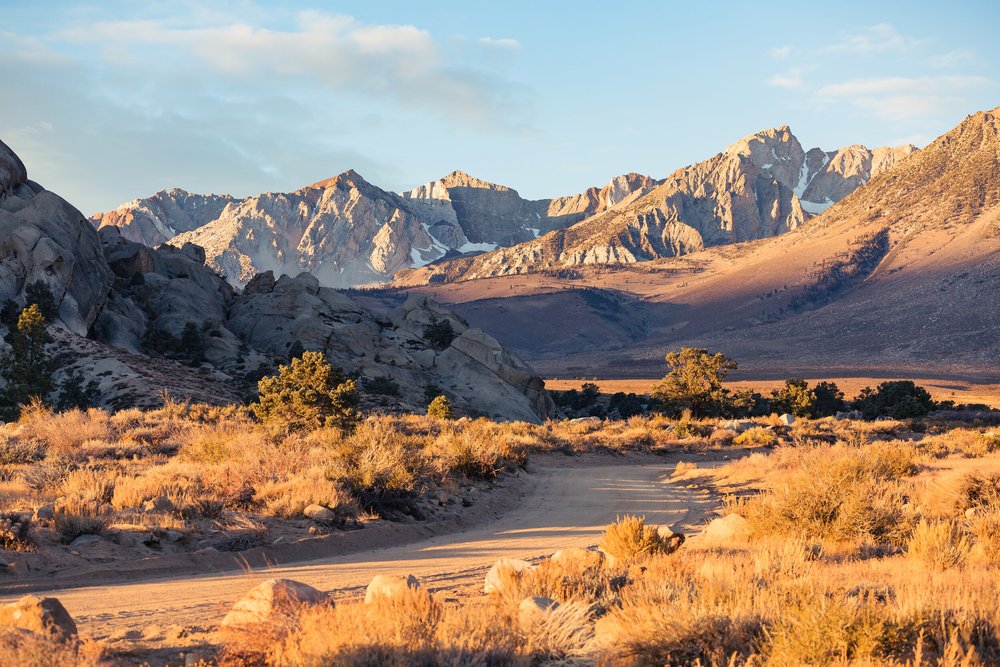 Protecting Local Ecosystems — Wildlands Network - Biodiversity ...