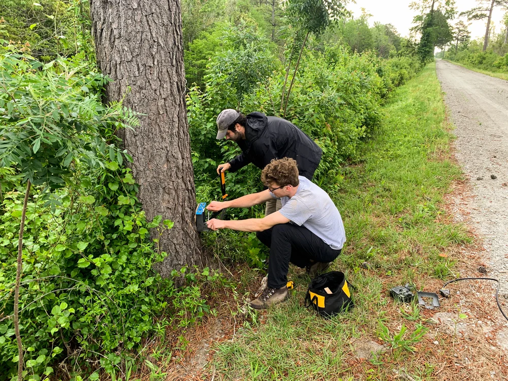 Safe Roads for Wildlife — Wildlands Network - Biodiversity Conservation ...