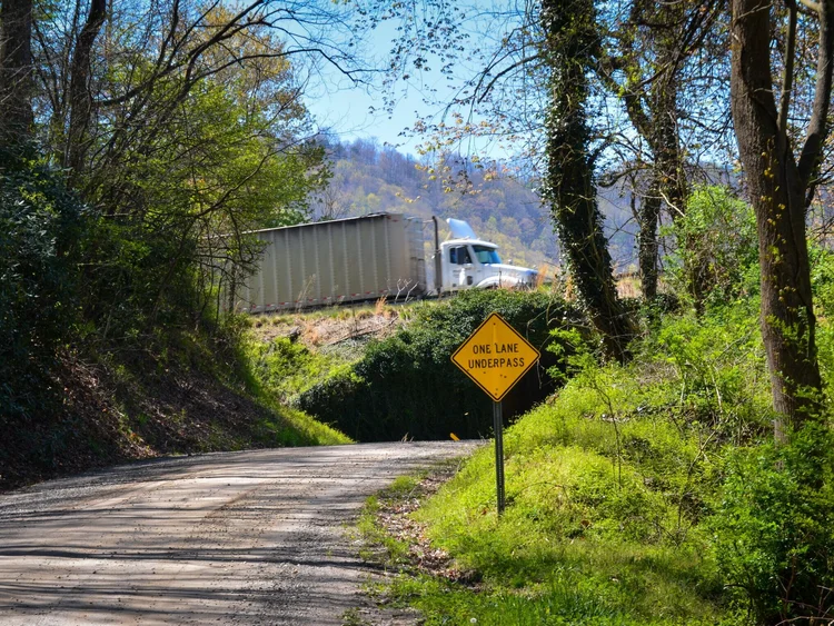 Safe Roads for Wildlife — Wildlands Network - Biodiversity Conservation ...