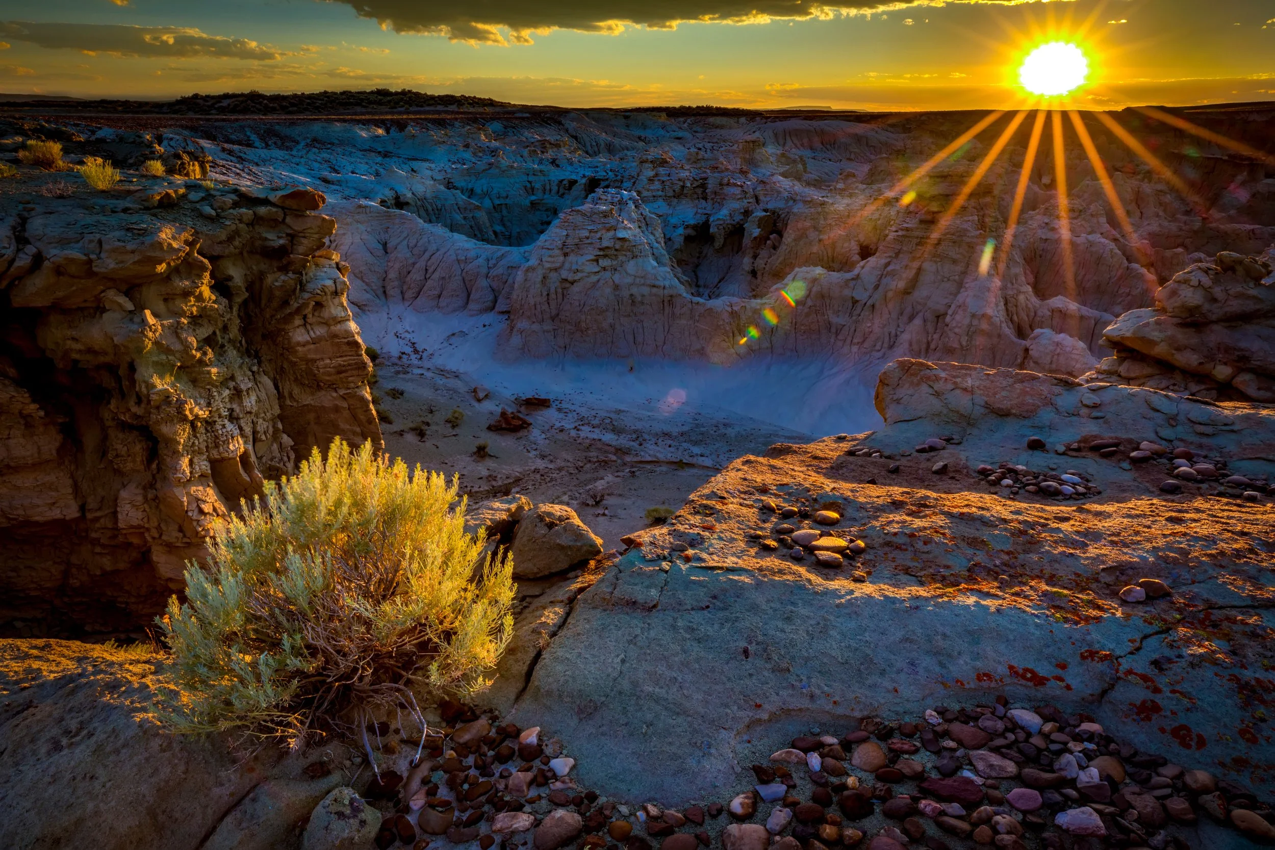 Our News — Wildlands Network