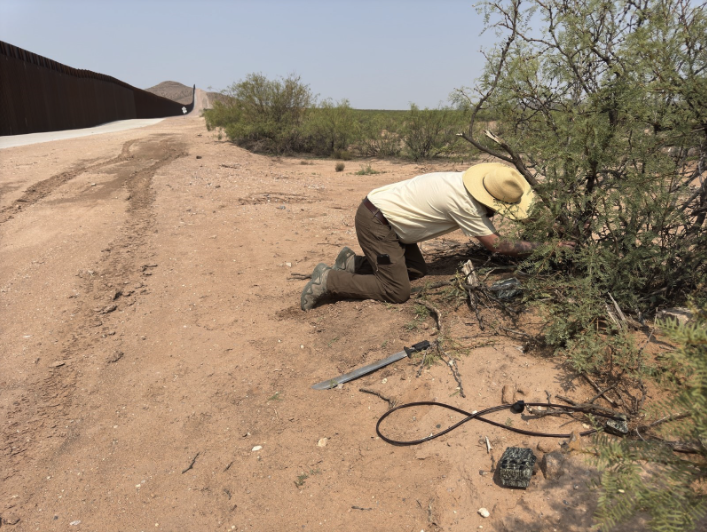New Study Reveals an 86% Reduction in Wildlife Crossings at the Border ...