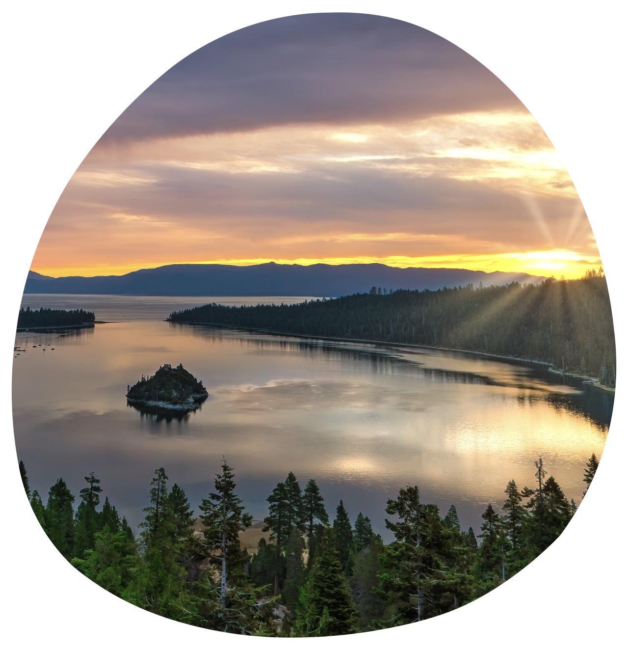 Wildlands Network