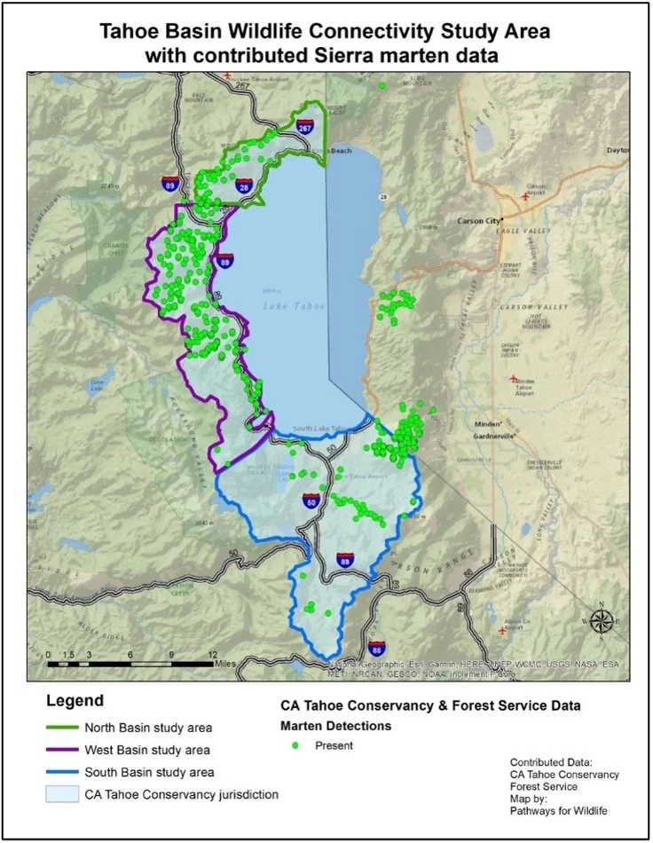 Navigating Human and Wildlife Activity in Lake Tahoe: A New Study ...