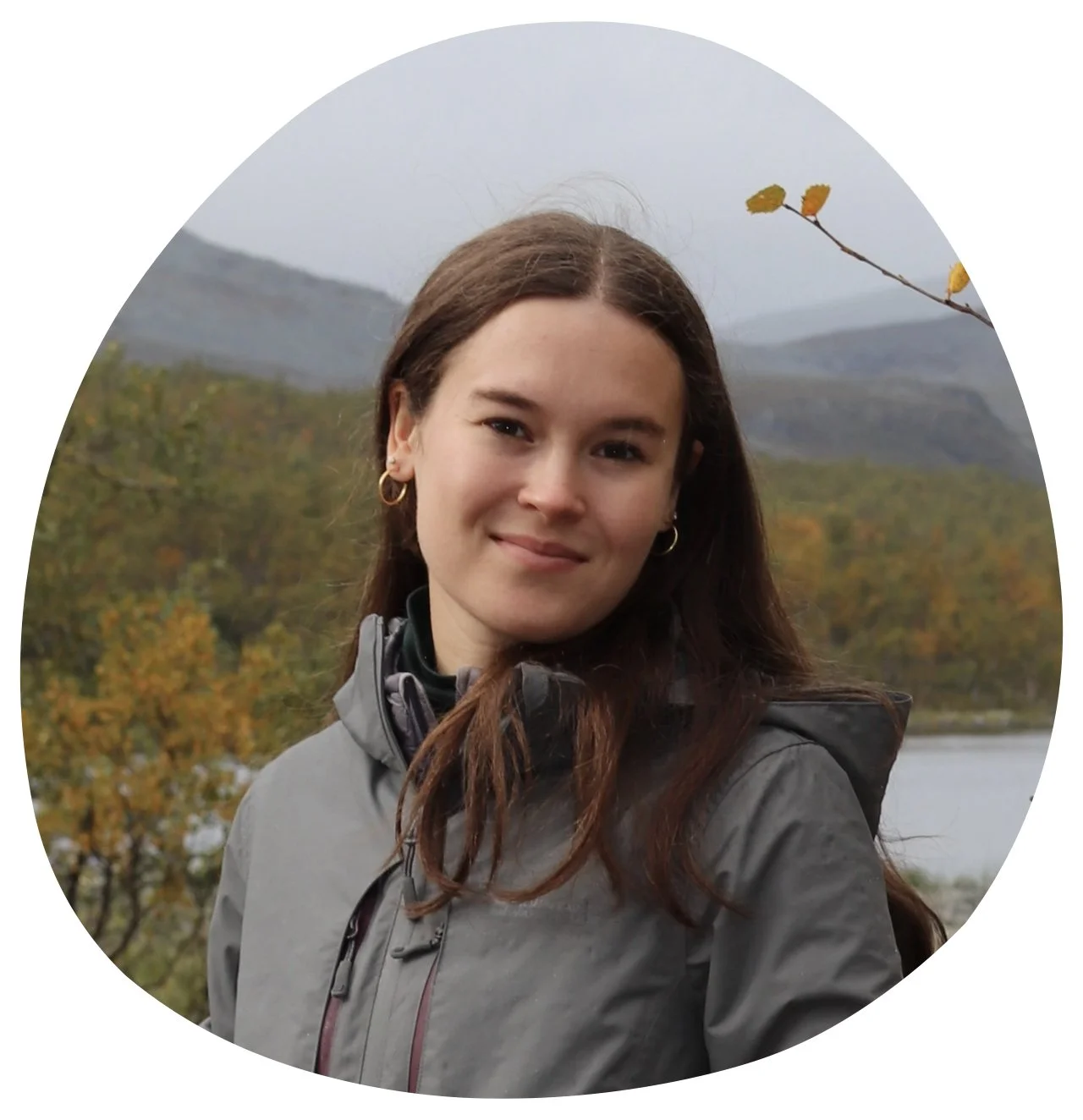 Our Team — Wildlands Network - Biodiversity Conservation + Wildlife ...