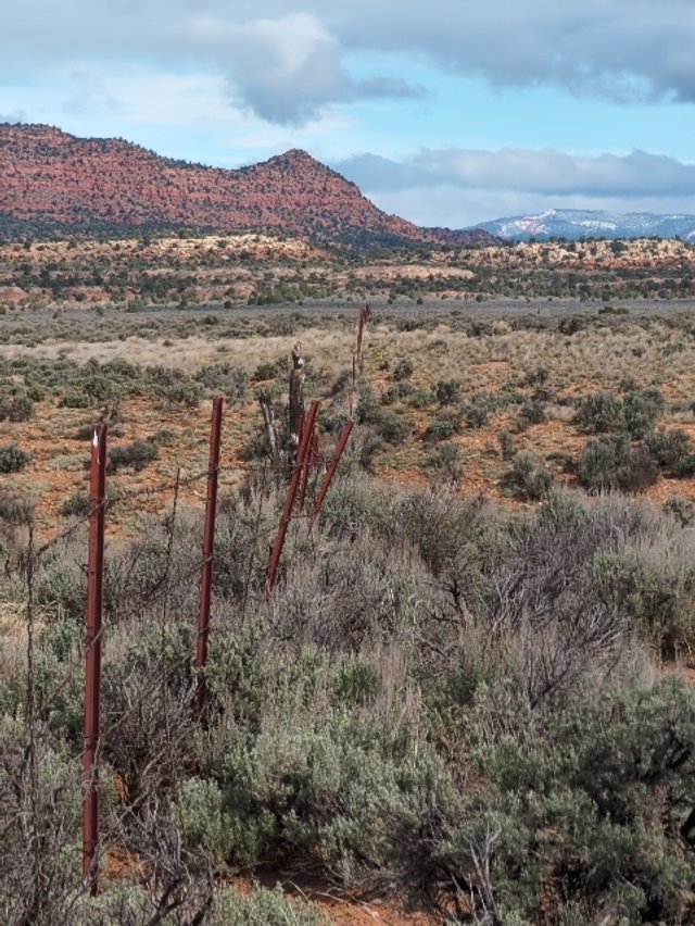 Fixing Fences for Southern Utah's Resident Herd — Wildlands Network ...