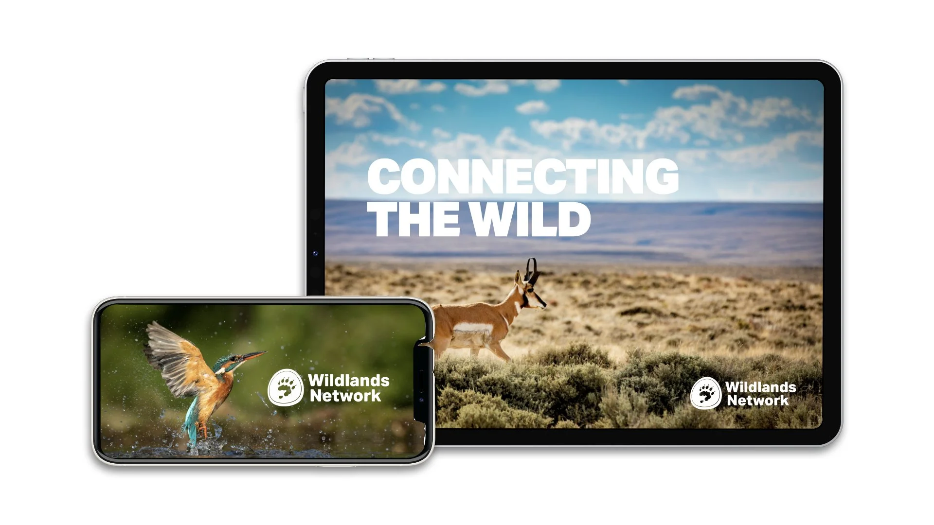 A Step in Our Evolution: Wildlands Network’s Refreshed Logo — Wildlands ...