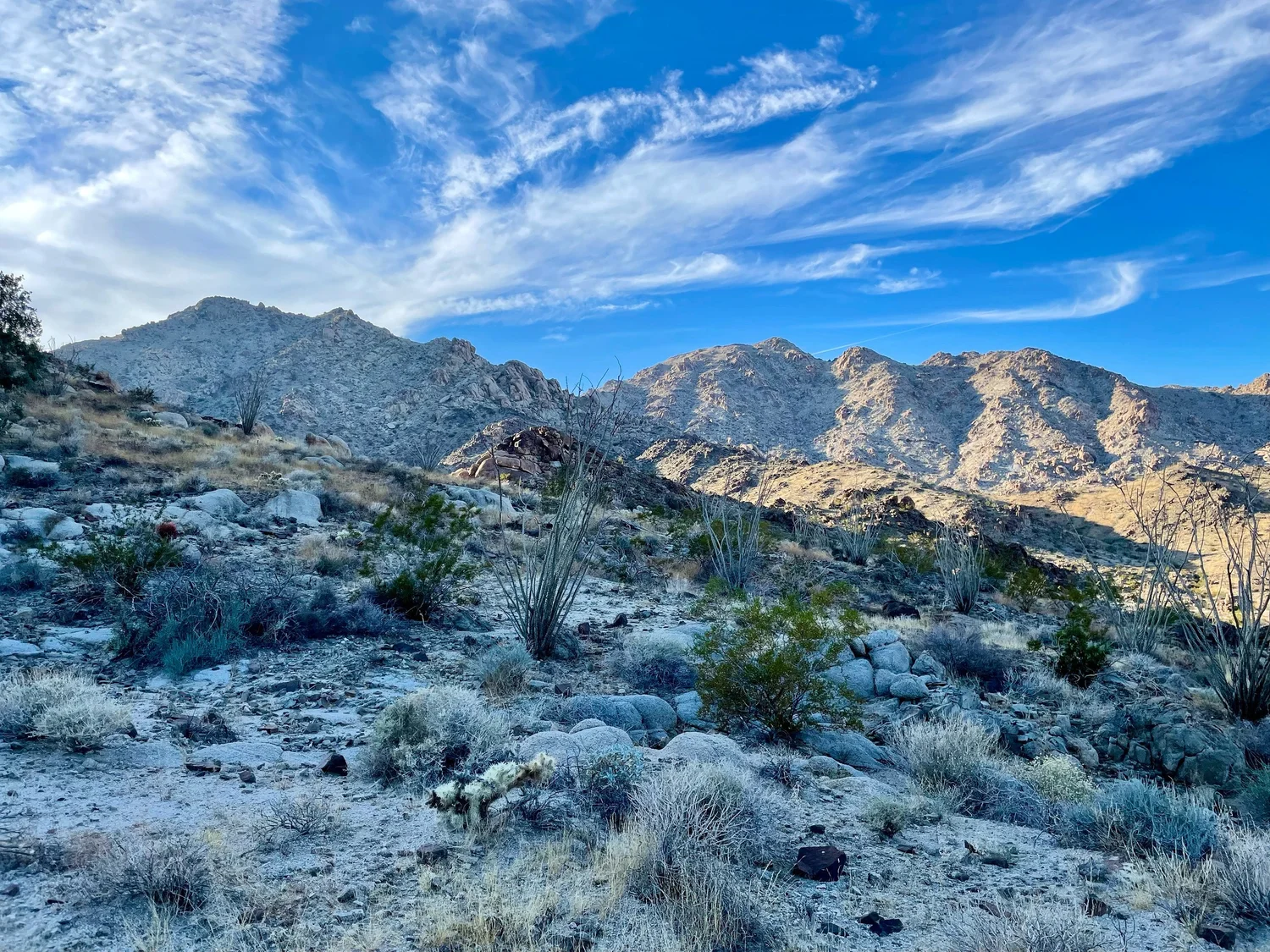 President Biden Officially Designates Chuckwalla National Monument ...