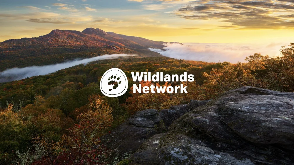 A Step in Our Evolution: Wildlands Network’s Refreshed Logo — Wildlands ...