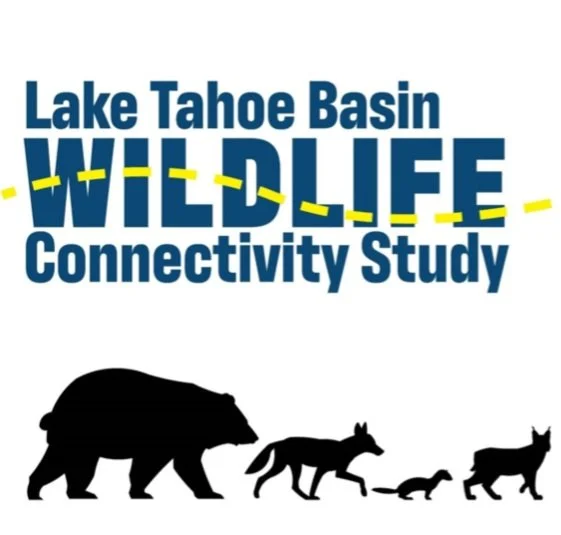 Donate to Reconnect Tahoe — Wildlands Network - Biodiversity ...