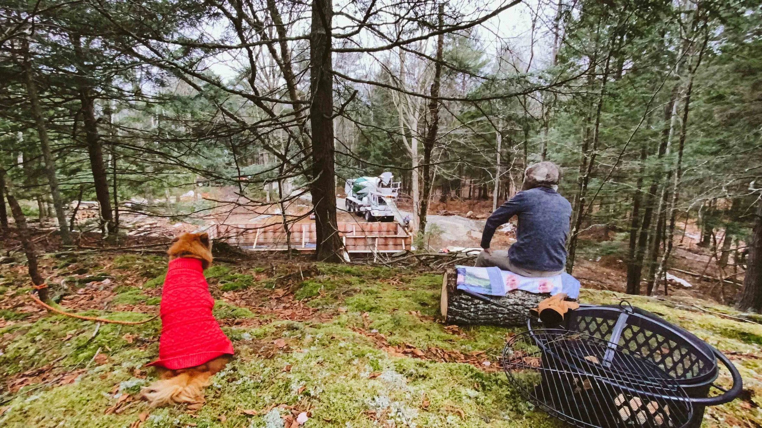 How to Build a Cabin — Stay Cozy Cabin