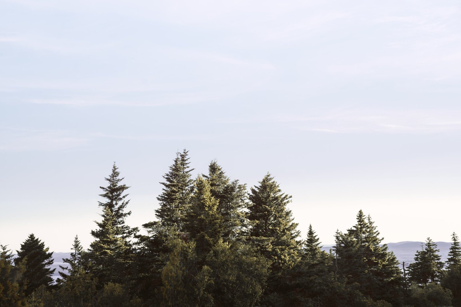 Cozy Rock Cabin | Freeport, ME — Stay Cozy Cabin