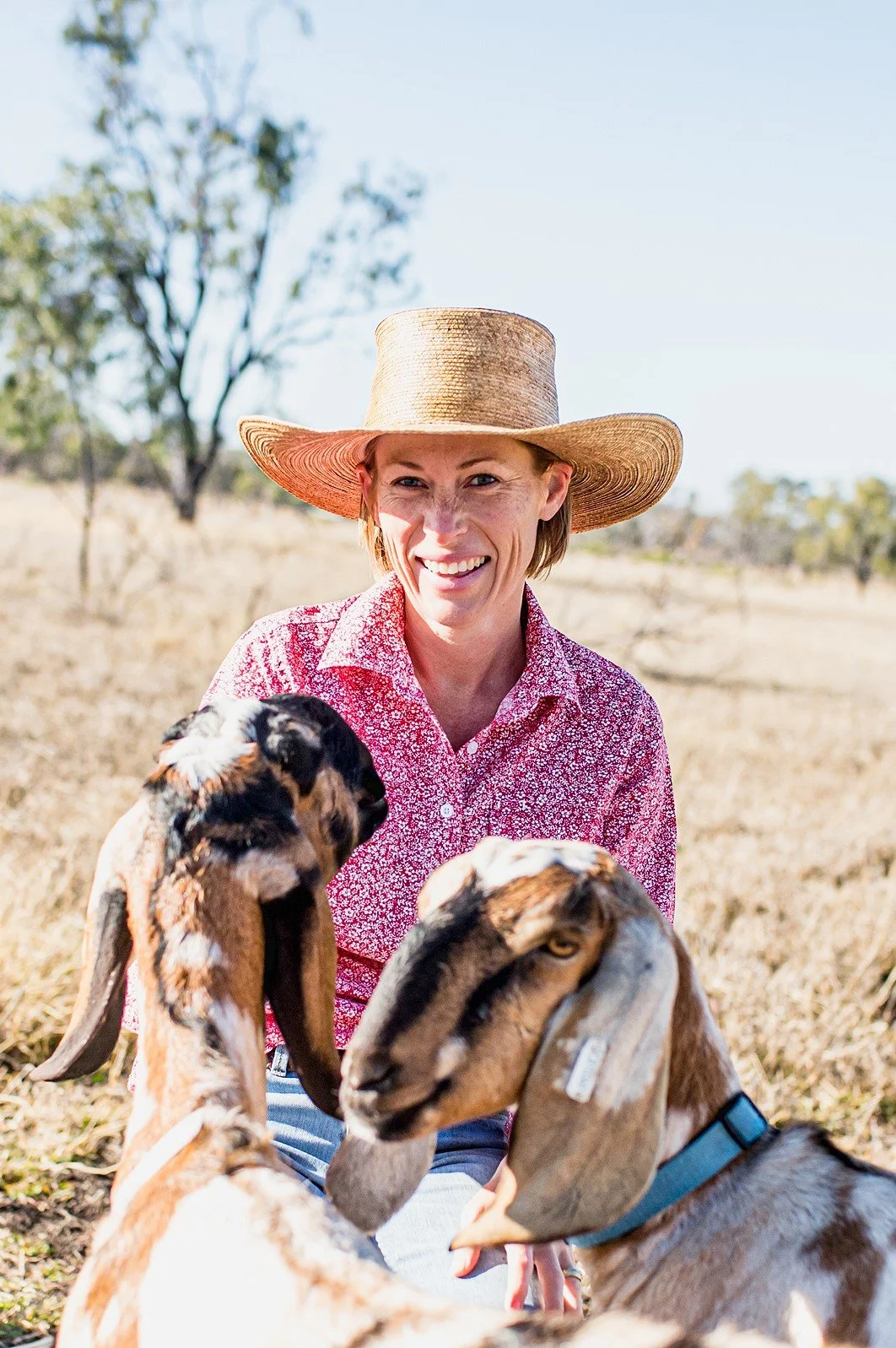 Our Story — Peak View Farm