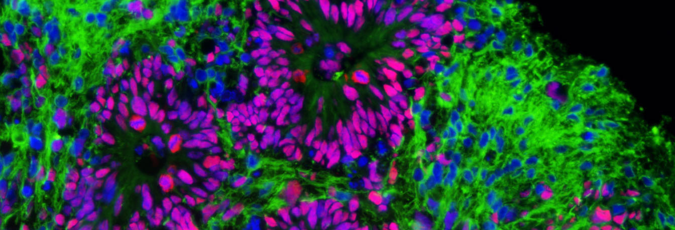 Kosuke Funato Lab @ UGA