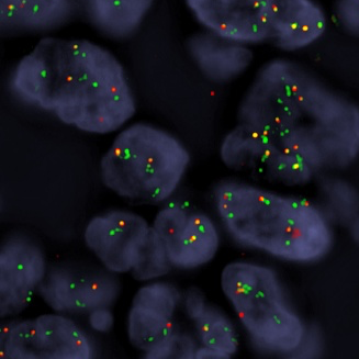 Kosuke Funato Lab @ UGA