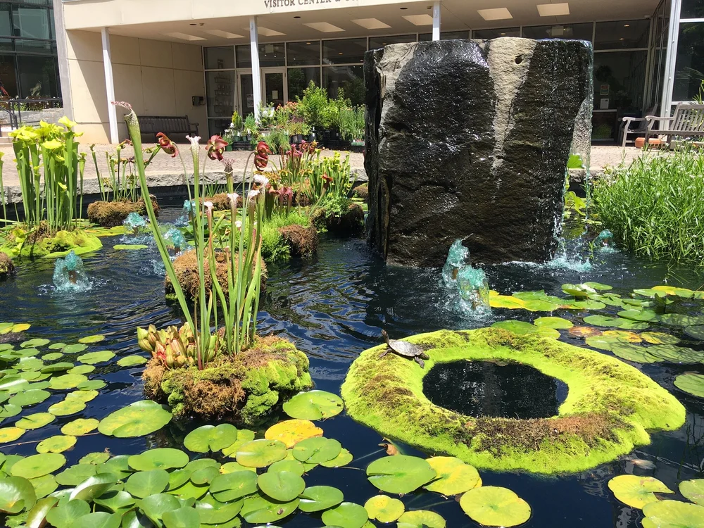 Join us! — Kosuke Funato Lab @ UGA