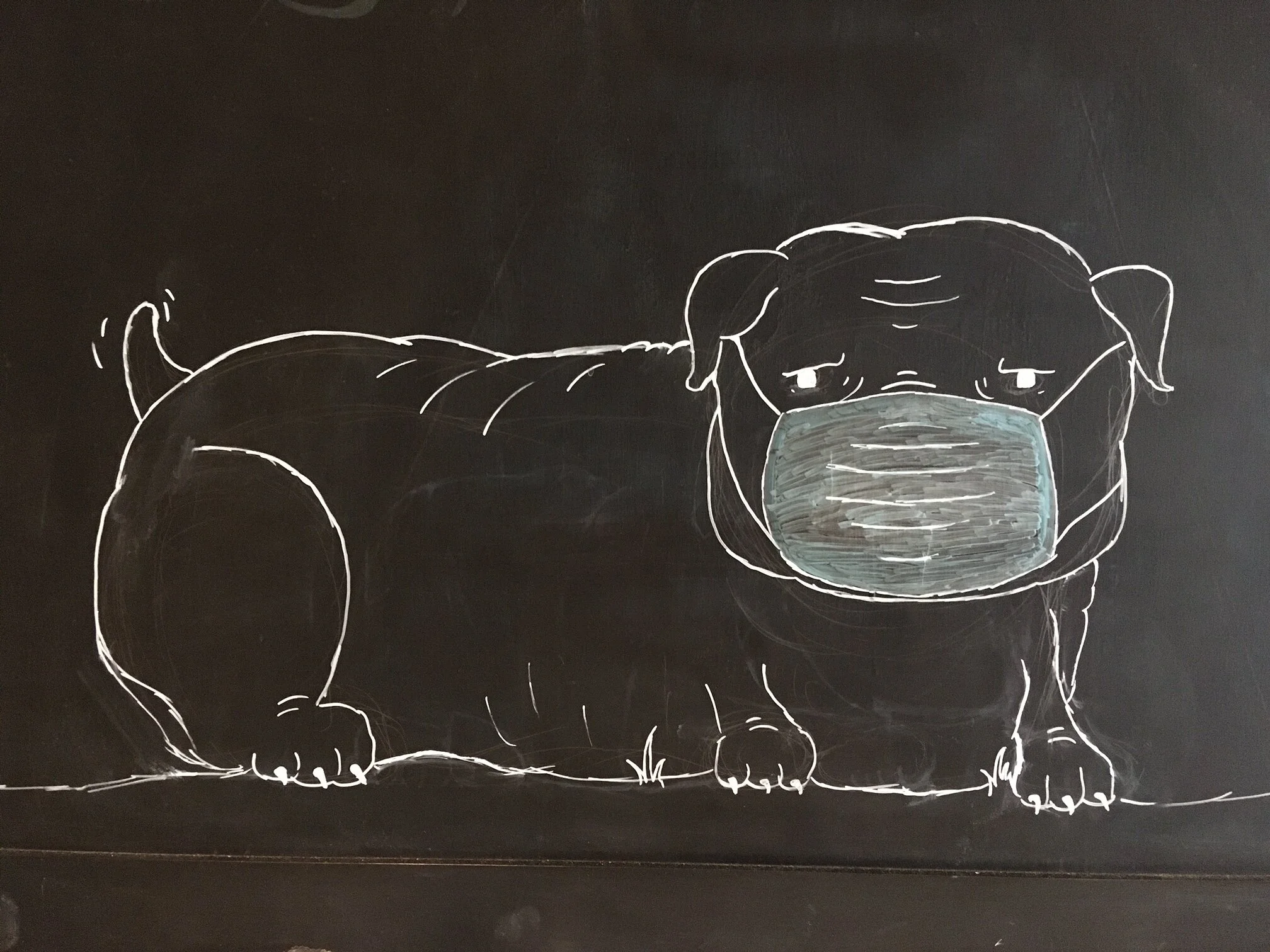 Team — Kosuke Funato Lab @ UGA