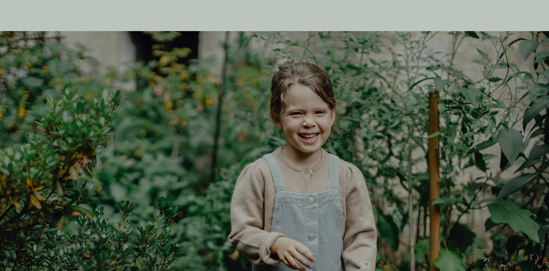 Contact Us — MISS LUCY - CAFE & EATERY