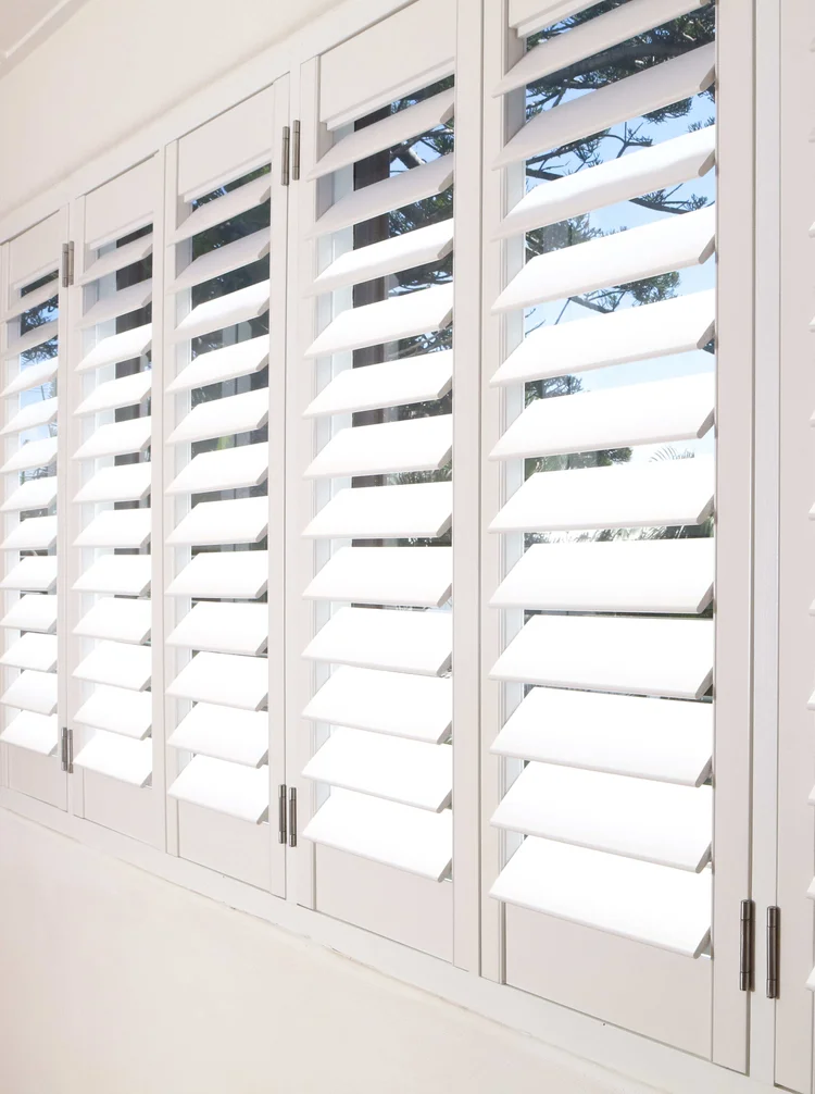 Plantation Shutters Adelaide | Affordable — Focus Home Improvements