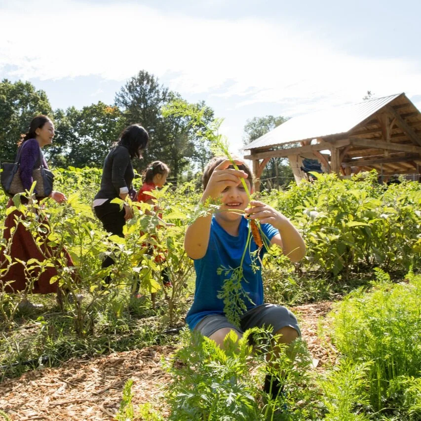Pick Your Own — Abundance Farm