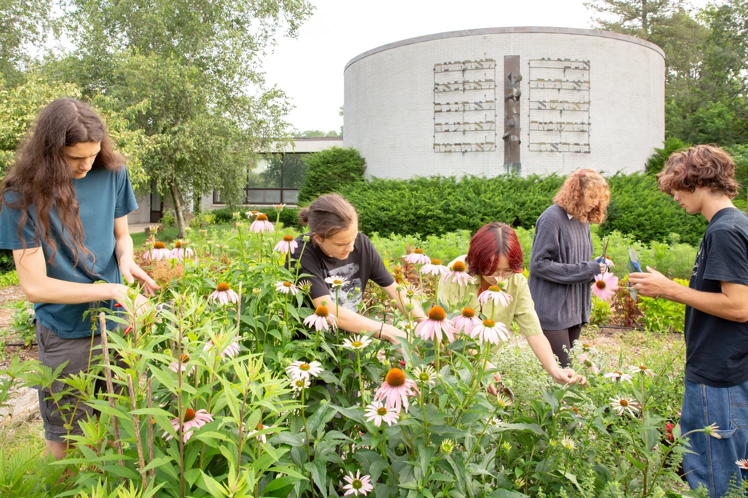 Abundance Farm
