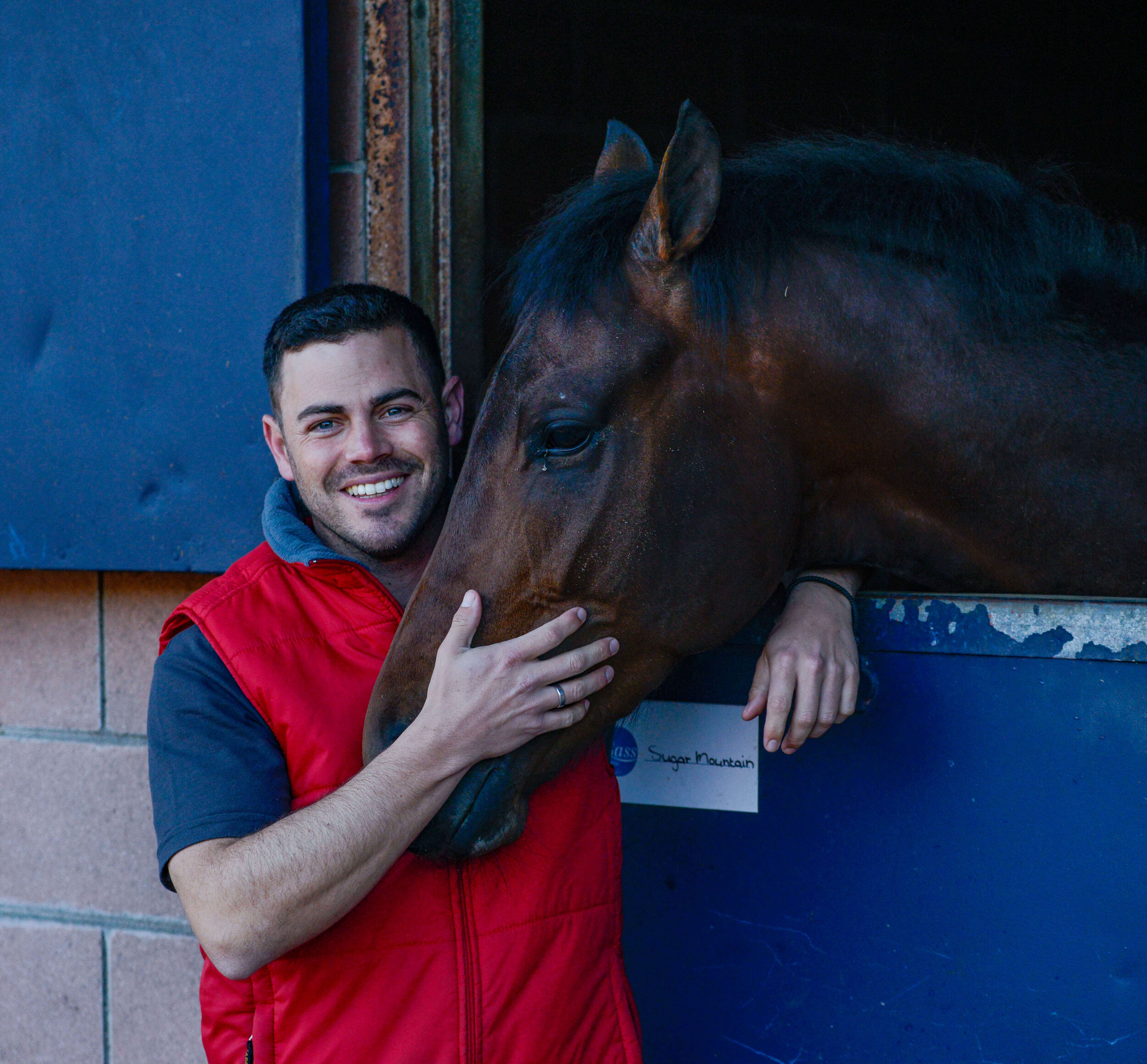 Cape Town Equine Vets — Baker McVeigh International