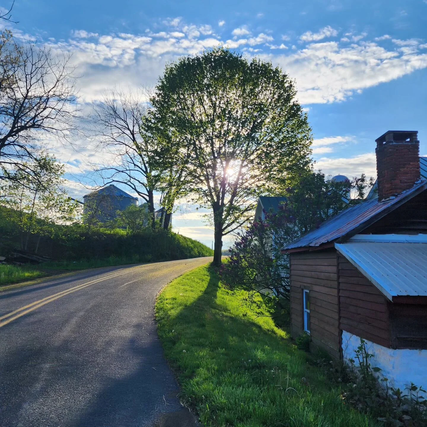 Honey Brook Farm