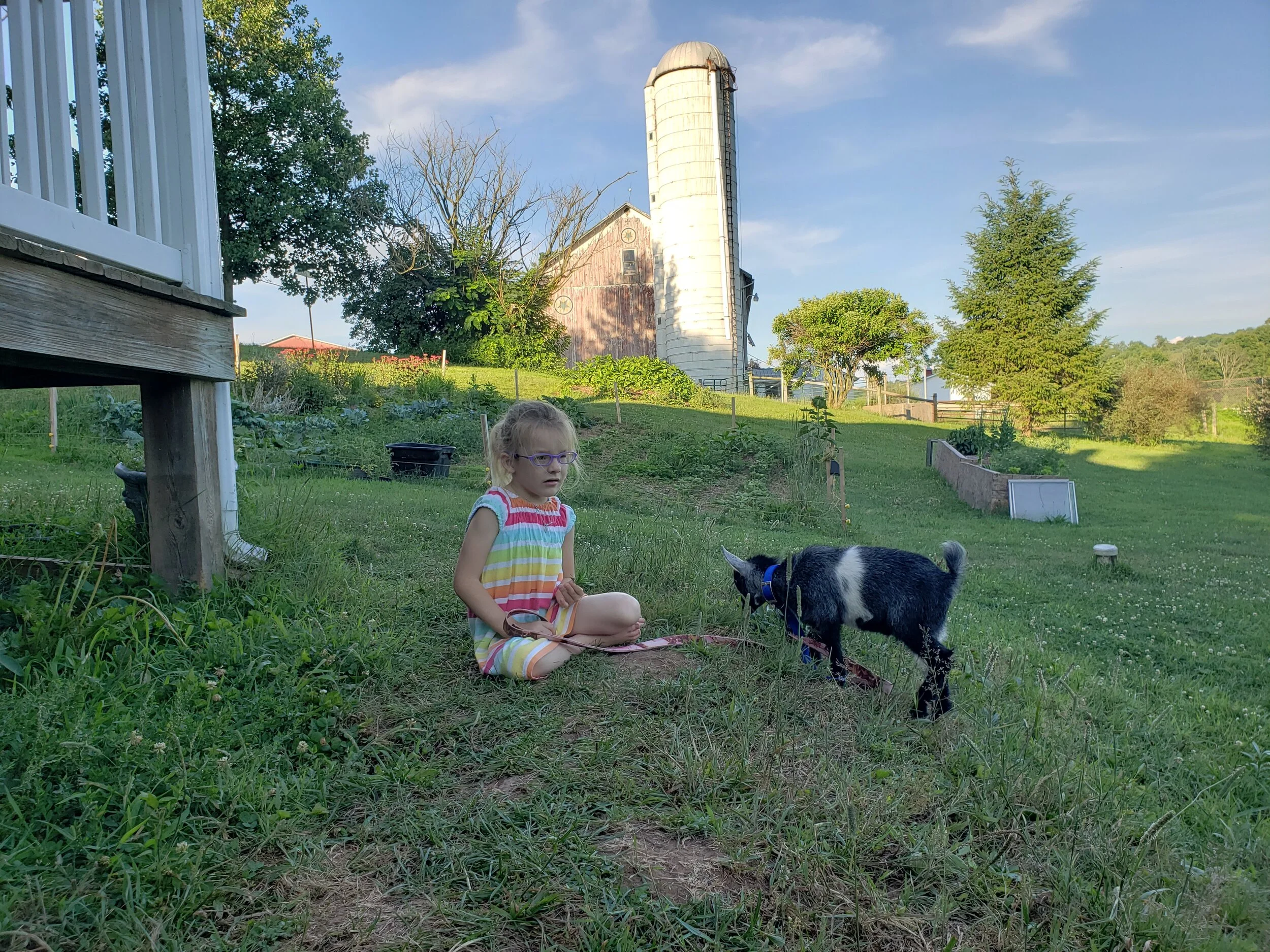 About — Honey Brook Farm