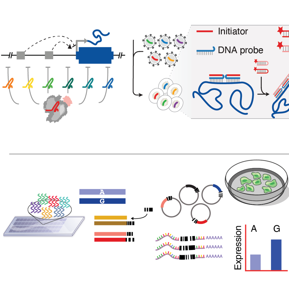 Research — Reilly Lab