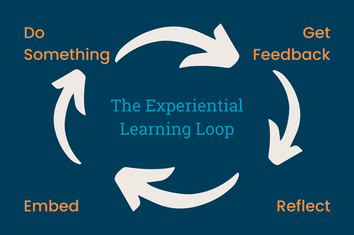 The Learning Loop — Marja Fox Independent Strategy Consulting