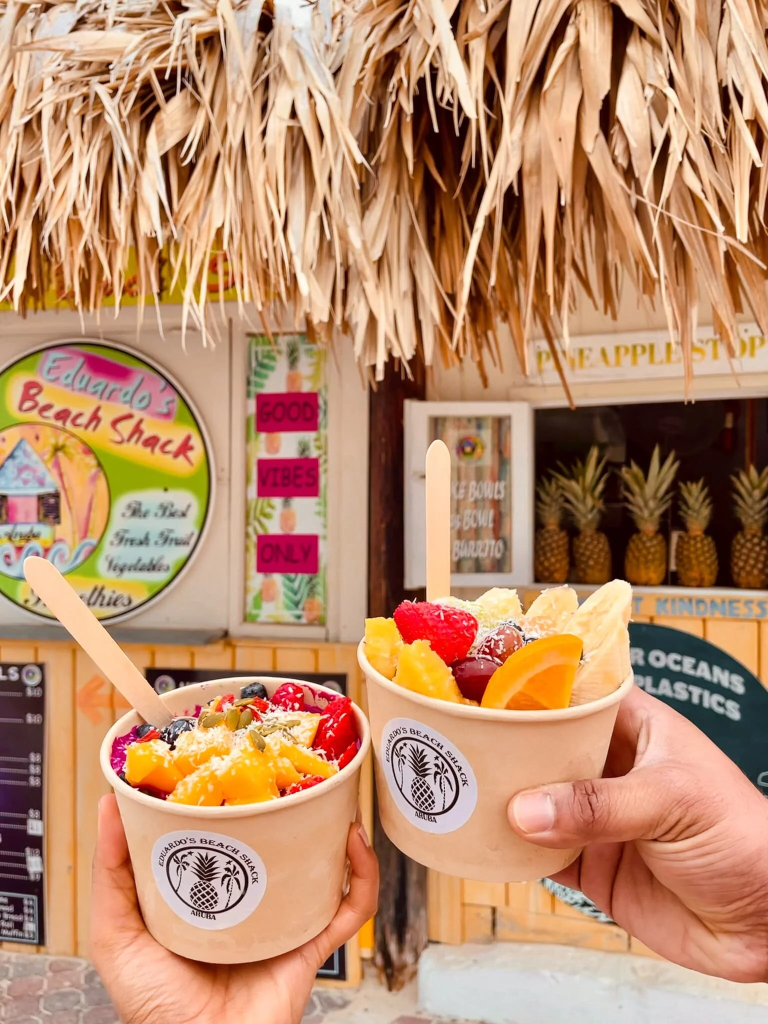 The Ultimate Aruba Travel Guide for 2021 — Carry On Jetsetter