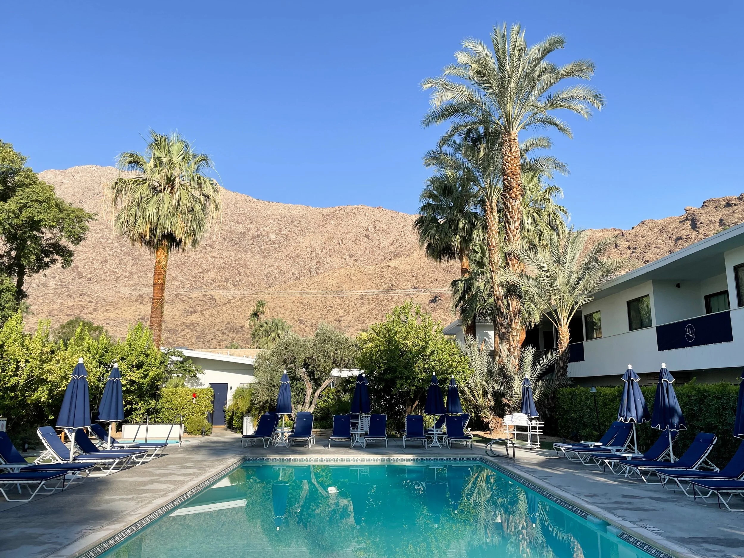 Blog — JOLENE WRIGHT