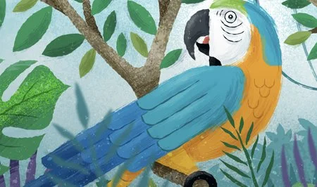 Drawing Vector Graphics Courses — Glitschka Studios