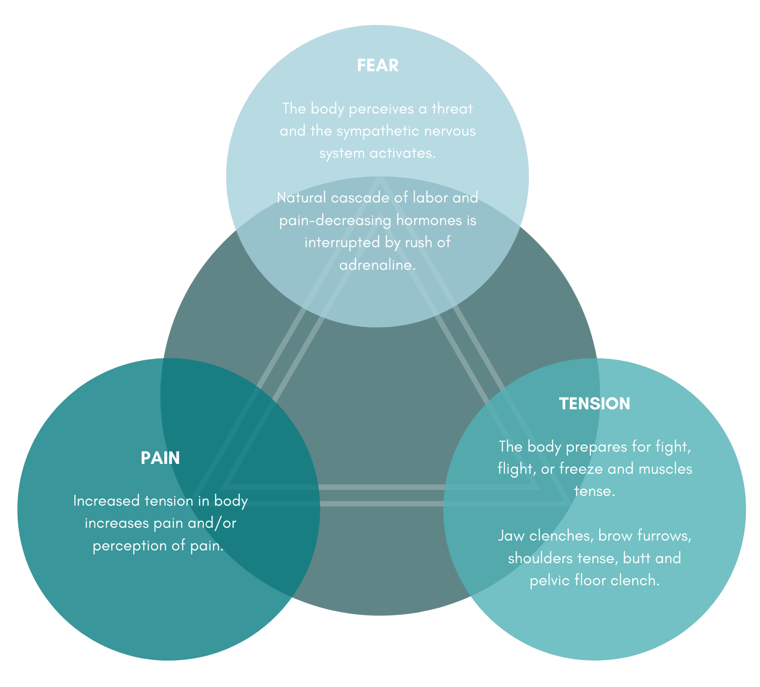 GTFO: Get the fear out — Lady Bird PT