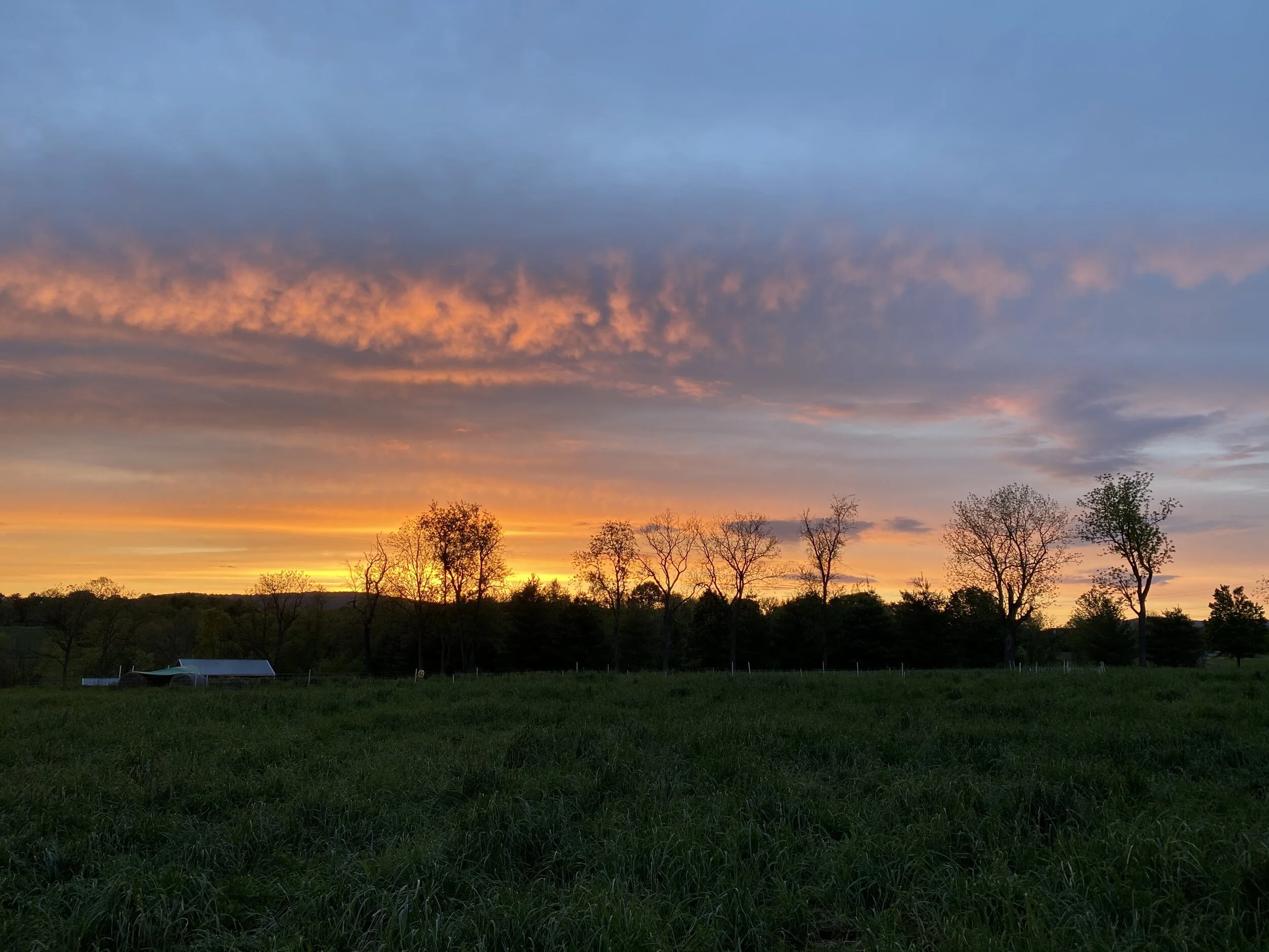 Harmony Springs Farm