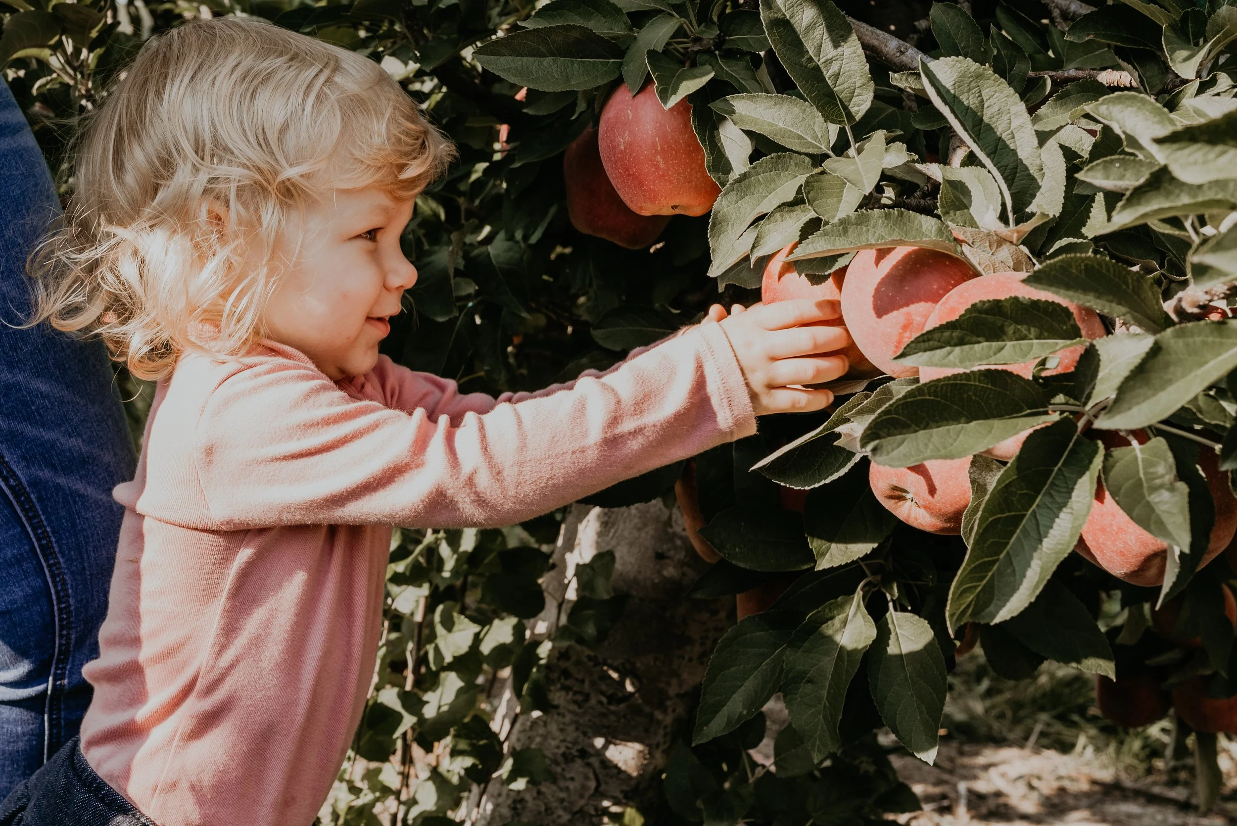 Discover Hendricks County: Your full family fun guide — theCityMoms