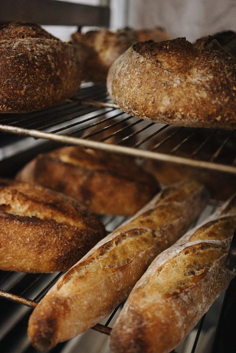 Baker's Bench Bakery