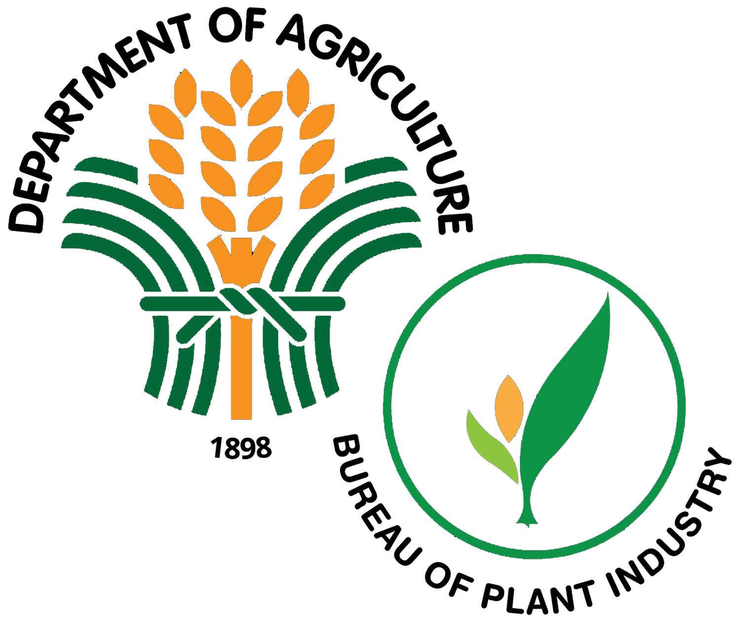 Public Consultation on the Draft IRR of RA 12215 Jumpstarts at the 22nd ...