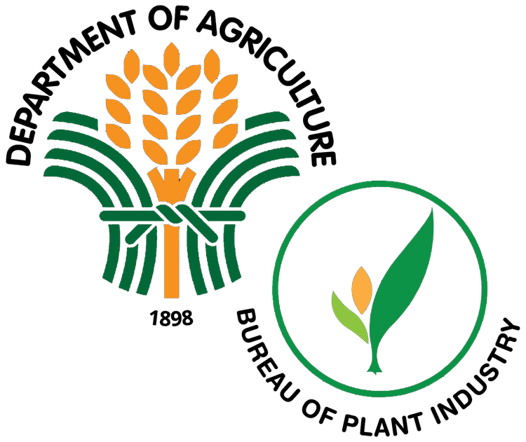 Public Consultation on the Draft IRR of RA 12215 Jumpstarts at the 22nd ...