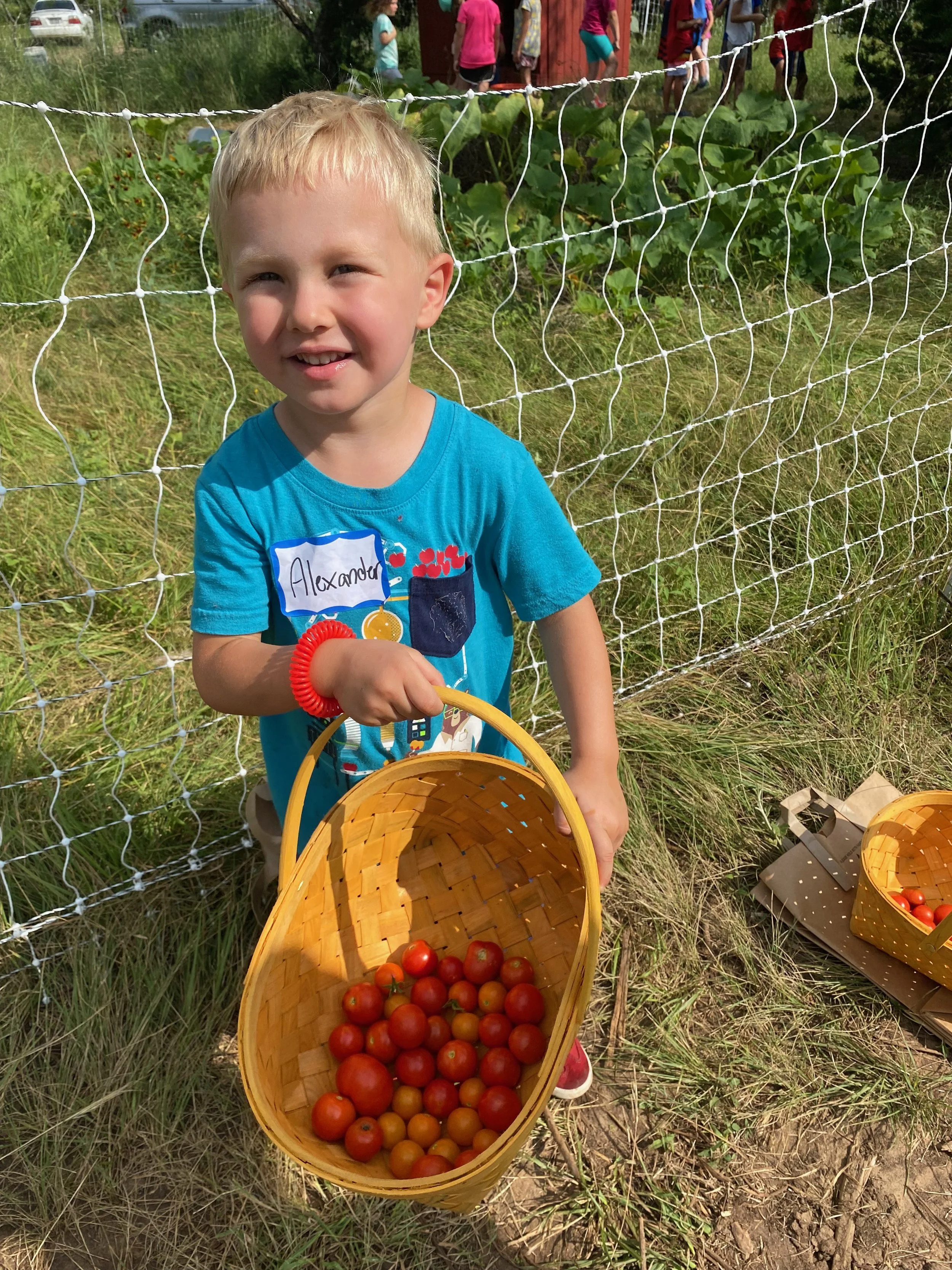 Farm Camps — Hamilton Pool Farms