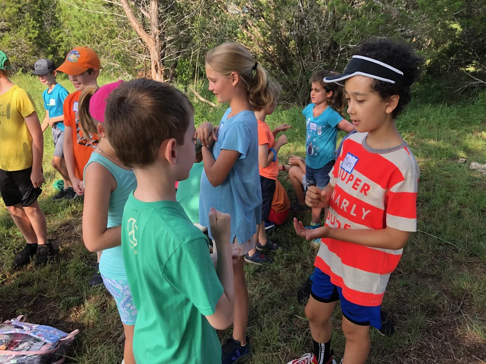 Farm Camps — Hamilton Pool Farms