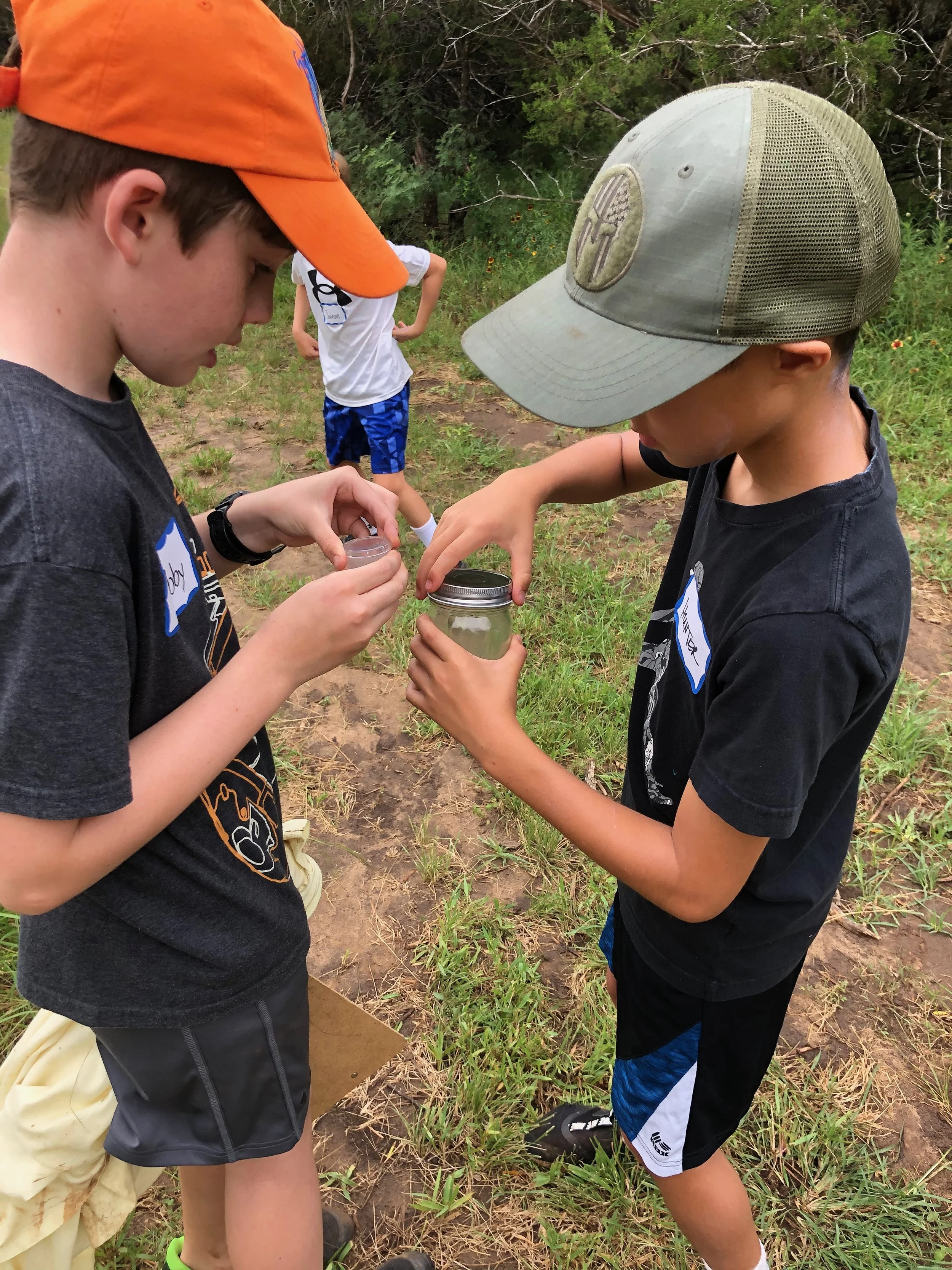 Farm Camps — Hamilton Pool Farms