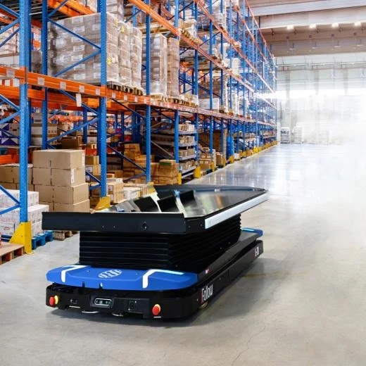 Storage & Automated Storage Solutions — Quintec Conveyors