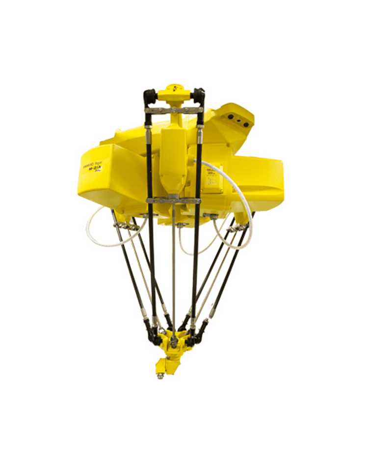Fanuc Robots — Quintec Conveyors