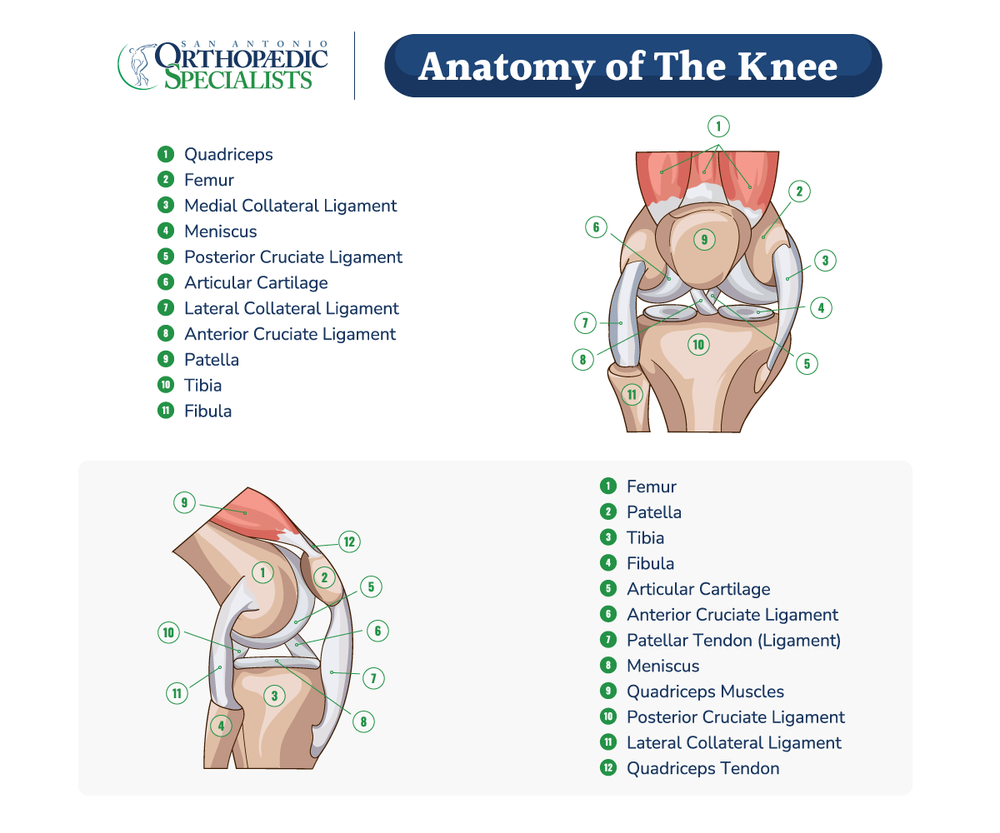 Knee Ligament Injuries in San Antonio — San Antonio Orthopaedic Specialists