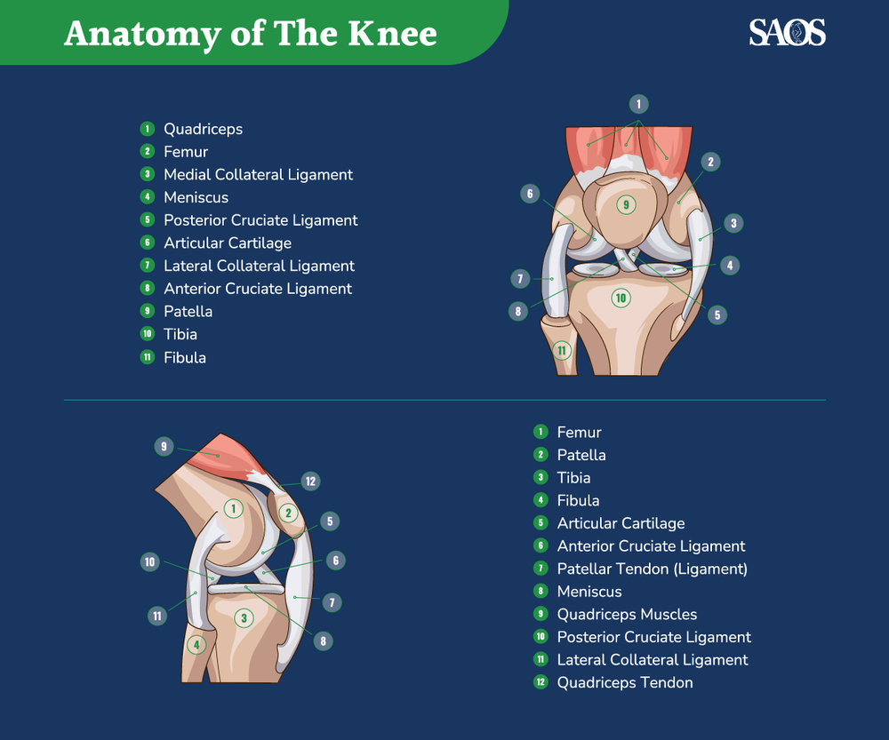 Knee Health on the Field: Orthopedic Insights into Turf vs Grass ...