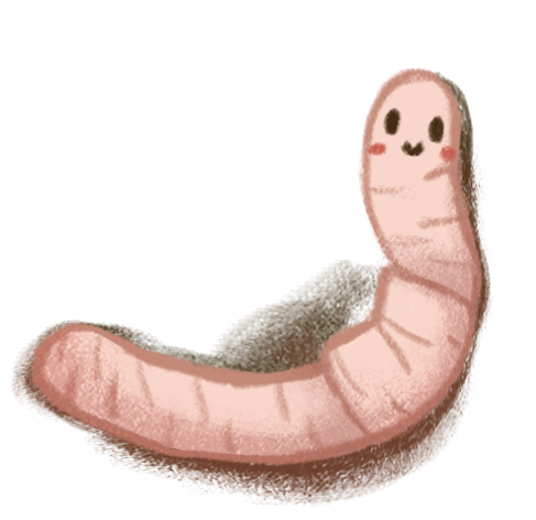 Roberta Raimondi - Children's Illustrator