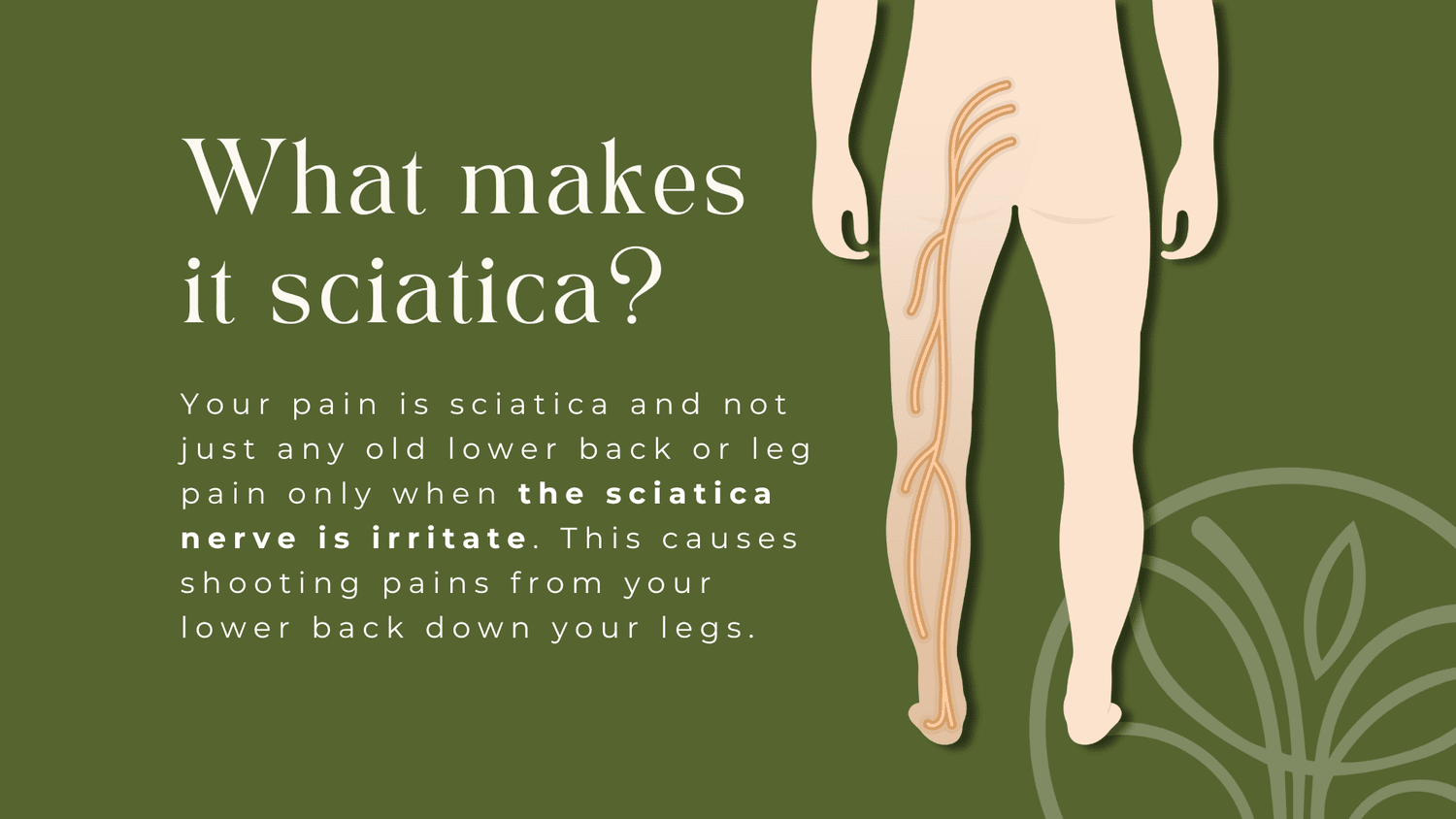 Wisdom from Chiro 101: Sciatica — Holistic Family Chiropractic