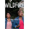 Wildfire Shop — Wildfire Journal & Writing Community