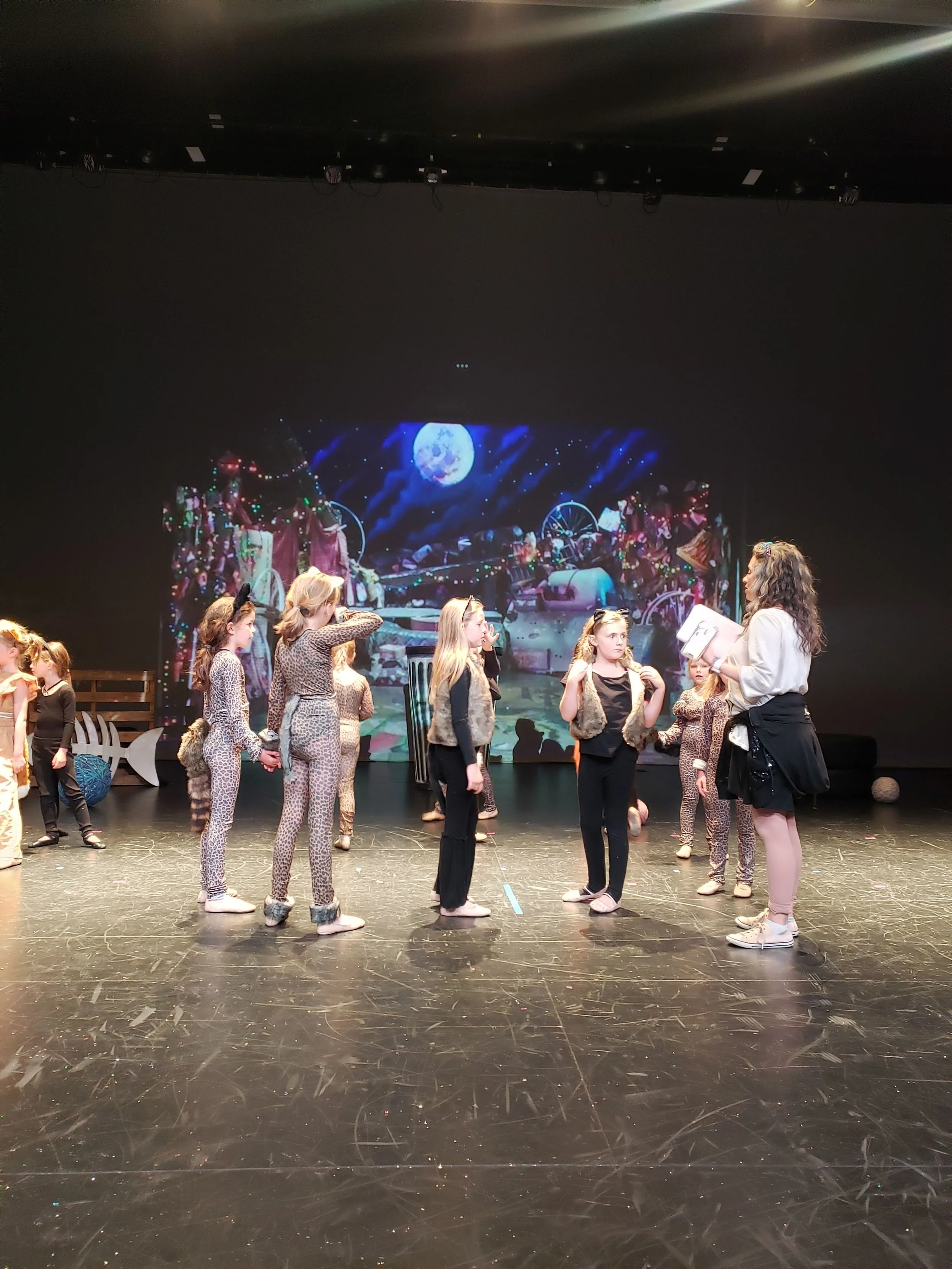 THE SCHOOL OF DANCE