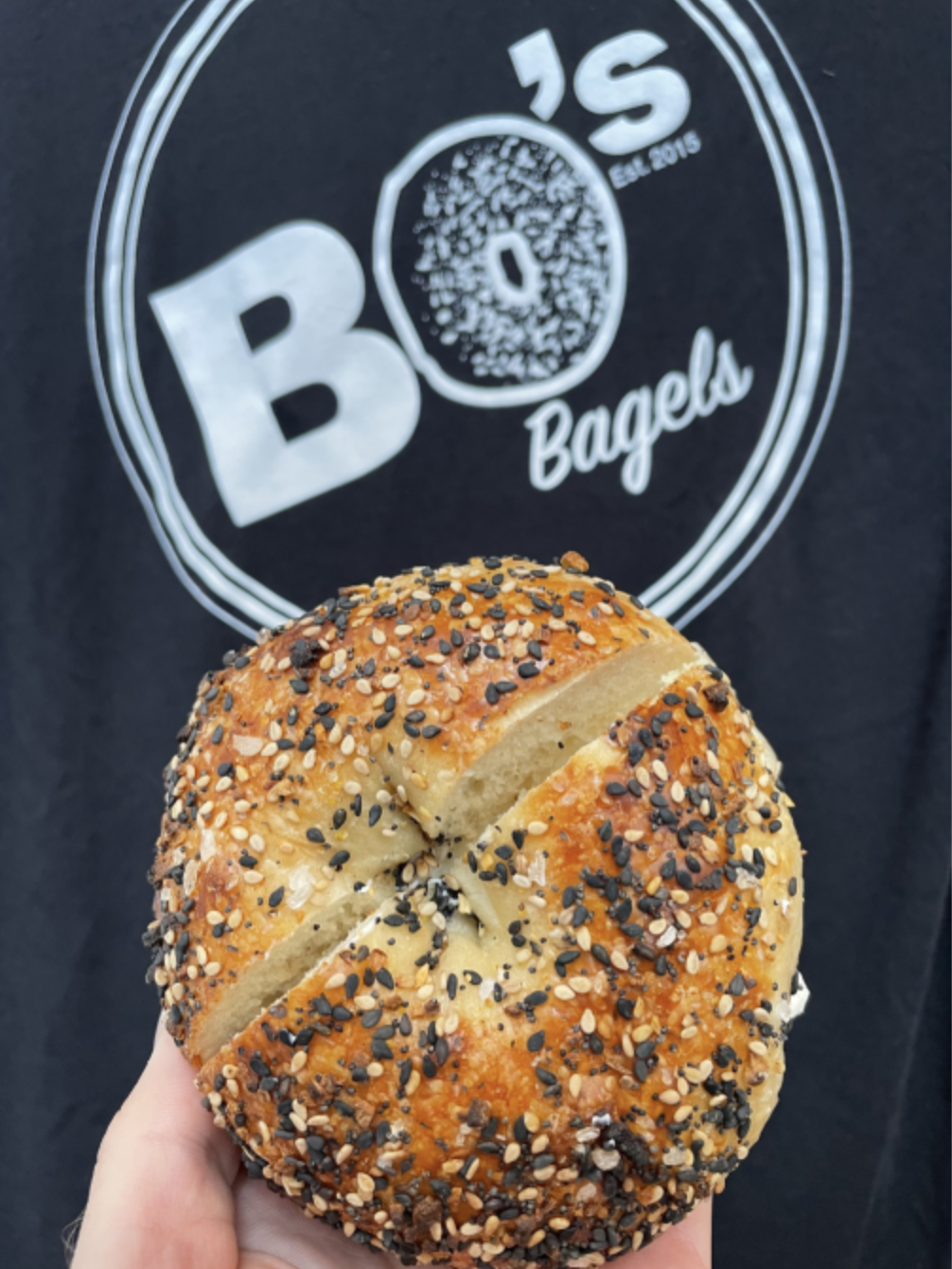 Best Bagels in Manhattan — BagelFest